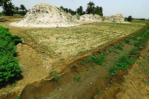 Home - Sub-Sahara Mining & Industrial Journal