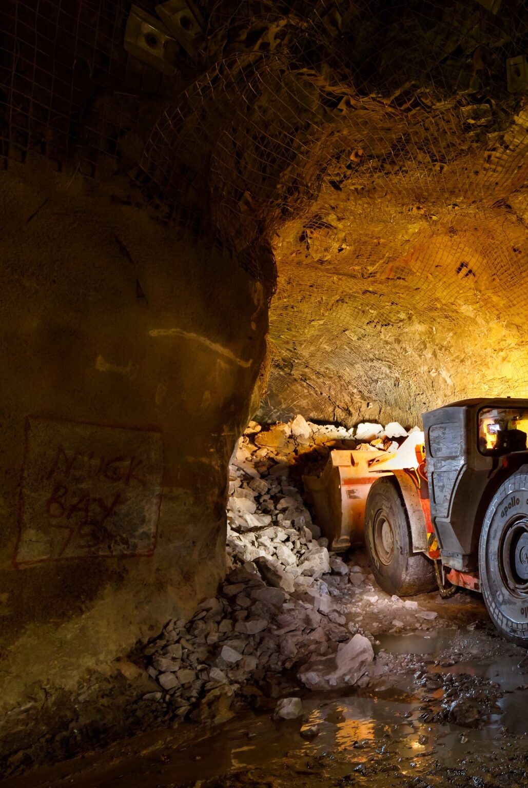 VALUE OF PDS GROWS WITH DATA AND SENSING TECHNOLOGY - Sub-Sahara Mining ...